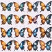 Sun and Moon Butterfly,16 PNG Images, Sublimation Butterfly Clipart ...