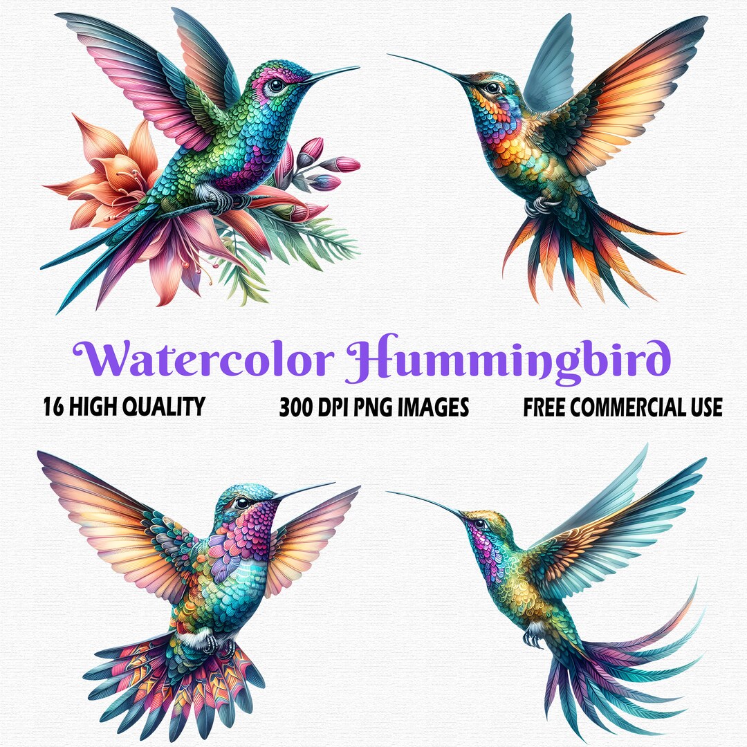 Watercolor Whimsical Hummingbird Clipart, 16 High Quality (300 DPI) PNG ...