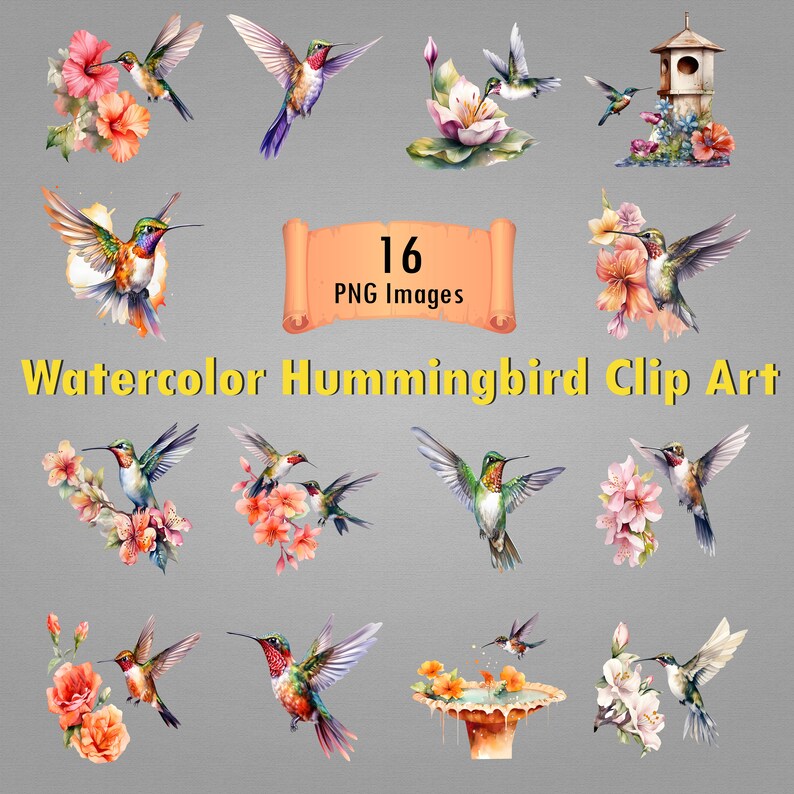 Watercolor Hummingbird Clip Art, 16 High Quality 300 DPI PNG Images ...