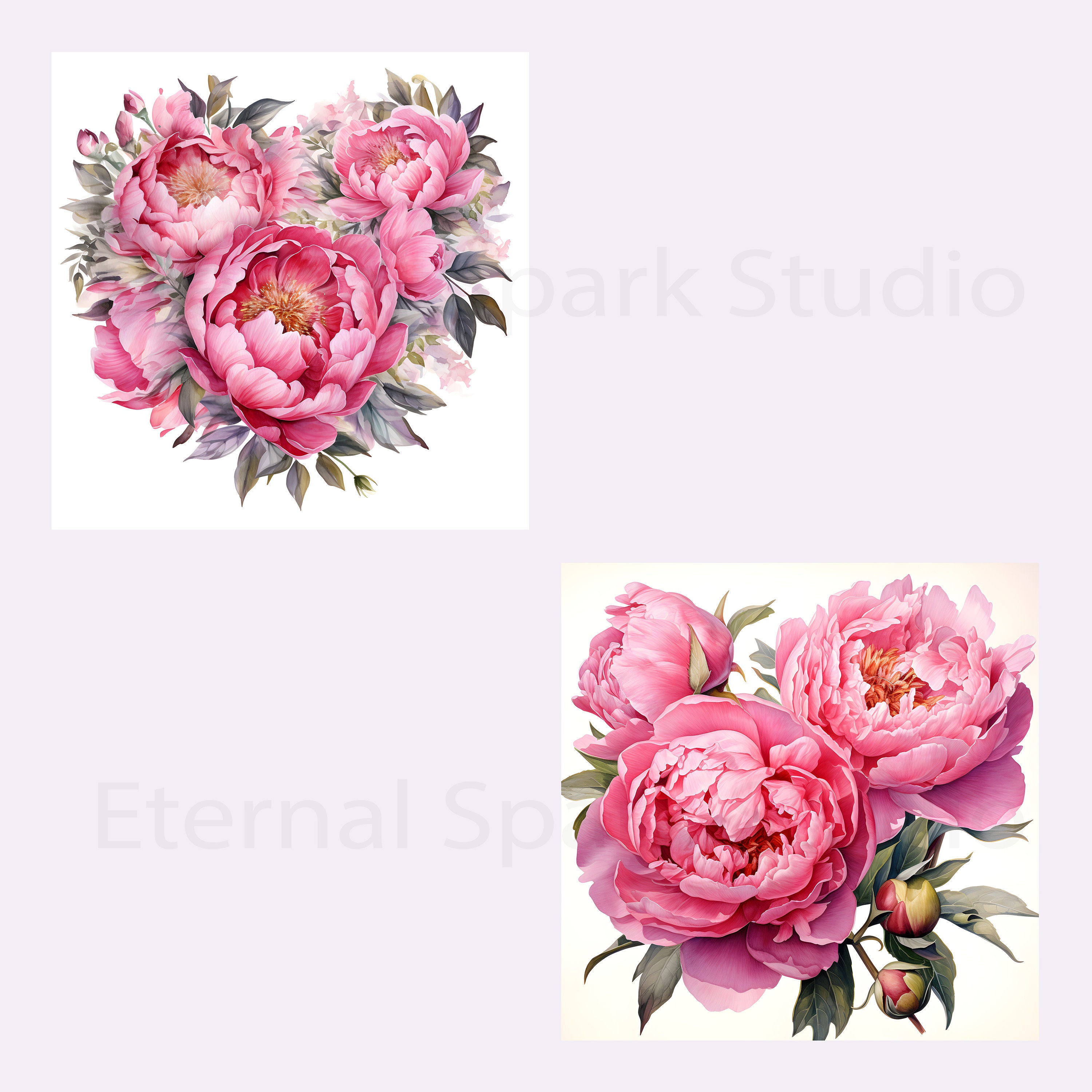 Watercolor Pink Peonies Clip Art, 10 High Quality (300 DPI) JPG Images ...