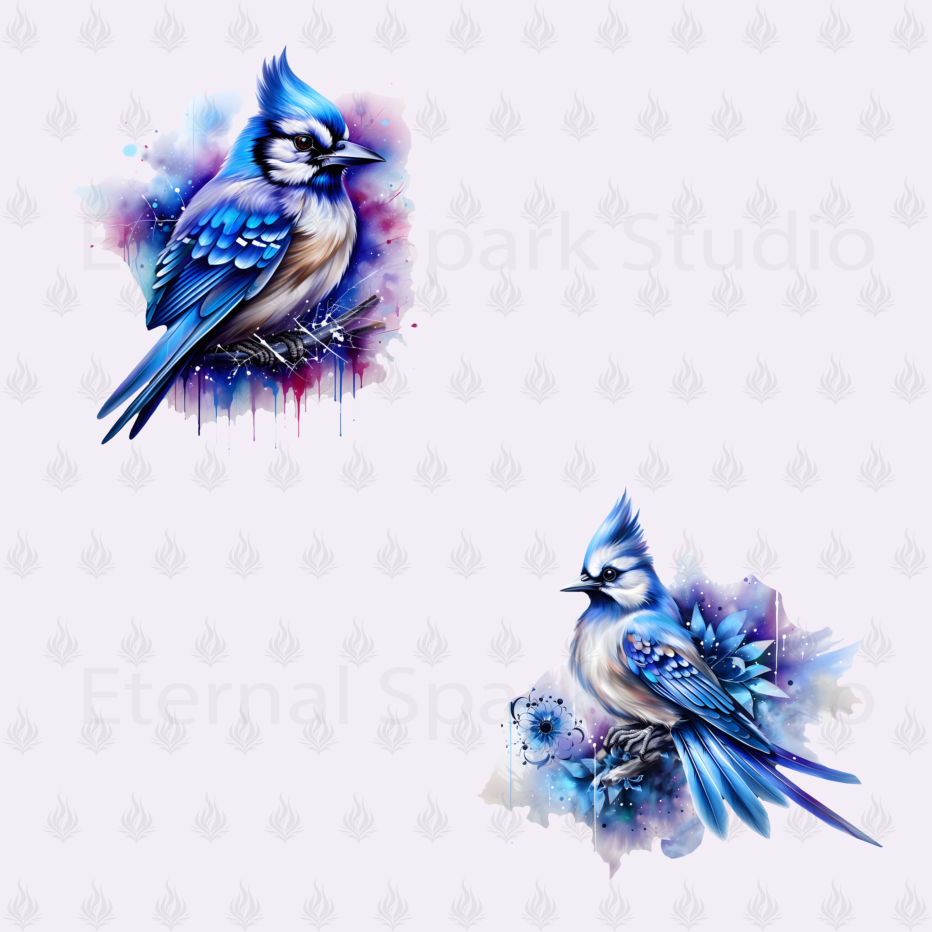 Watercolor Blue Jay Clipart, 10 300 DPI PNG Transparent Images, Cute ...