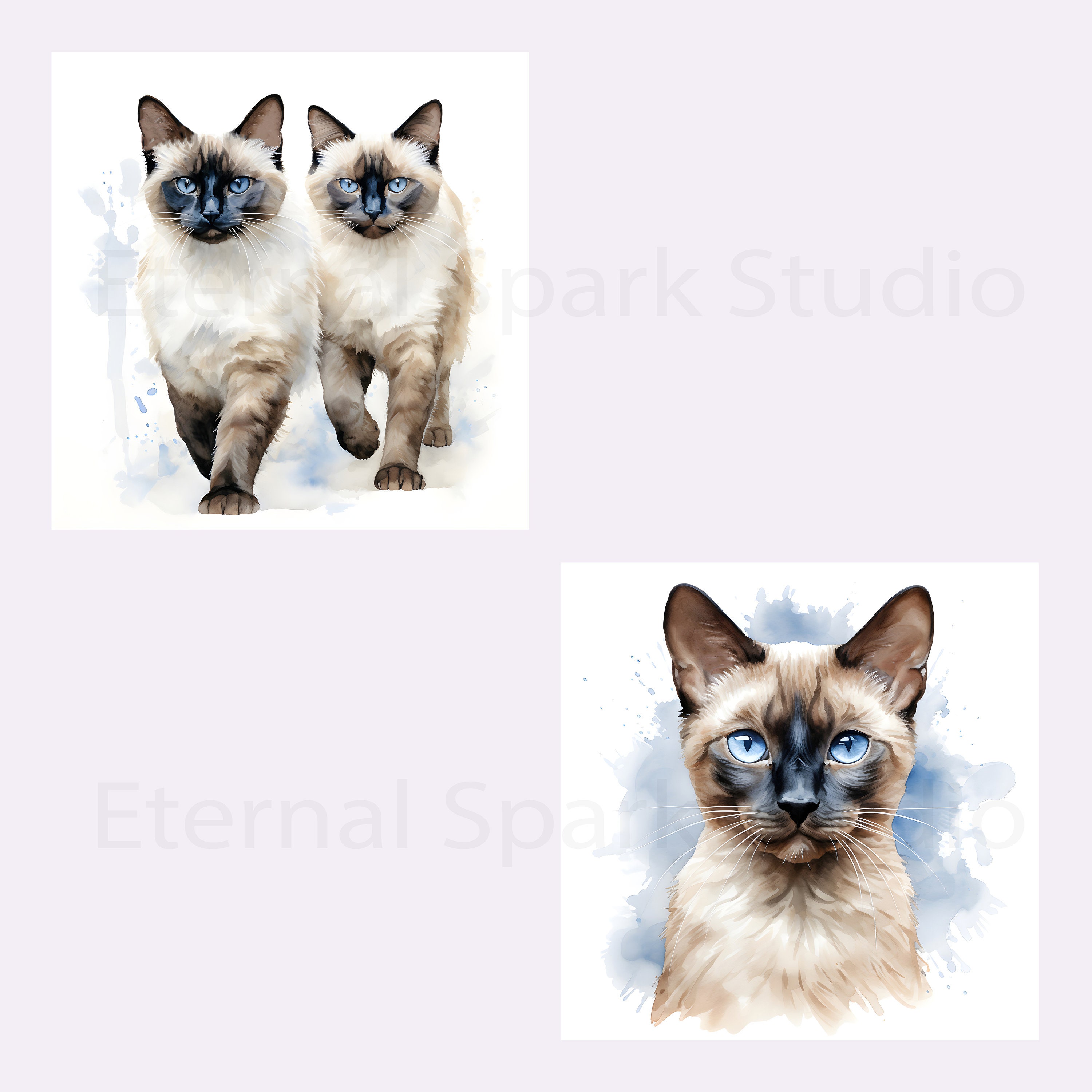 Watercolor Siamese Cat Clip Art, 10 High Quality 300 DPI JPG Images ...