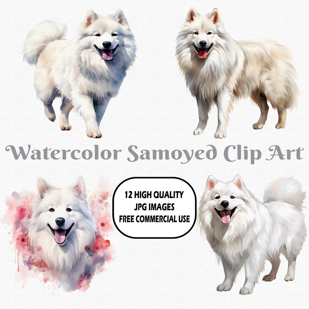 Watercolor Samoyed Clip Art, 12 High Quality (300 DPI) JPG Images With Solid Background, Instant ...