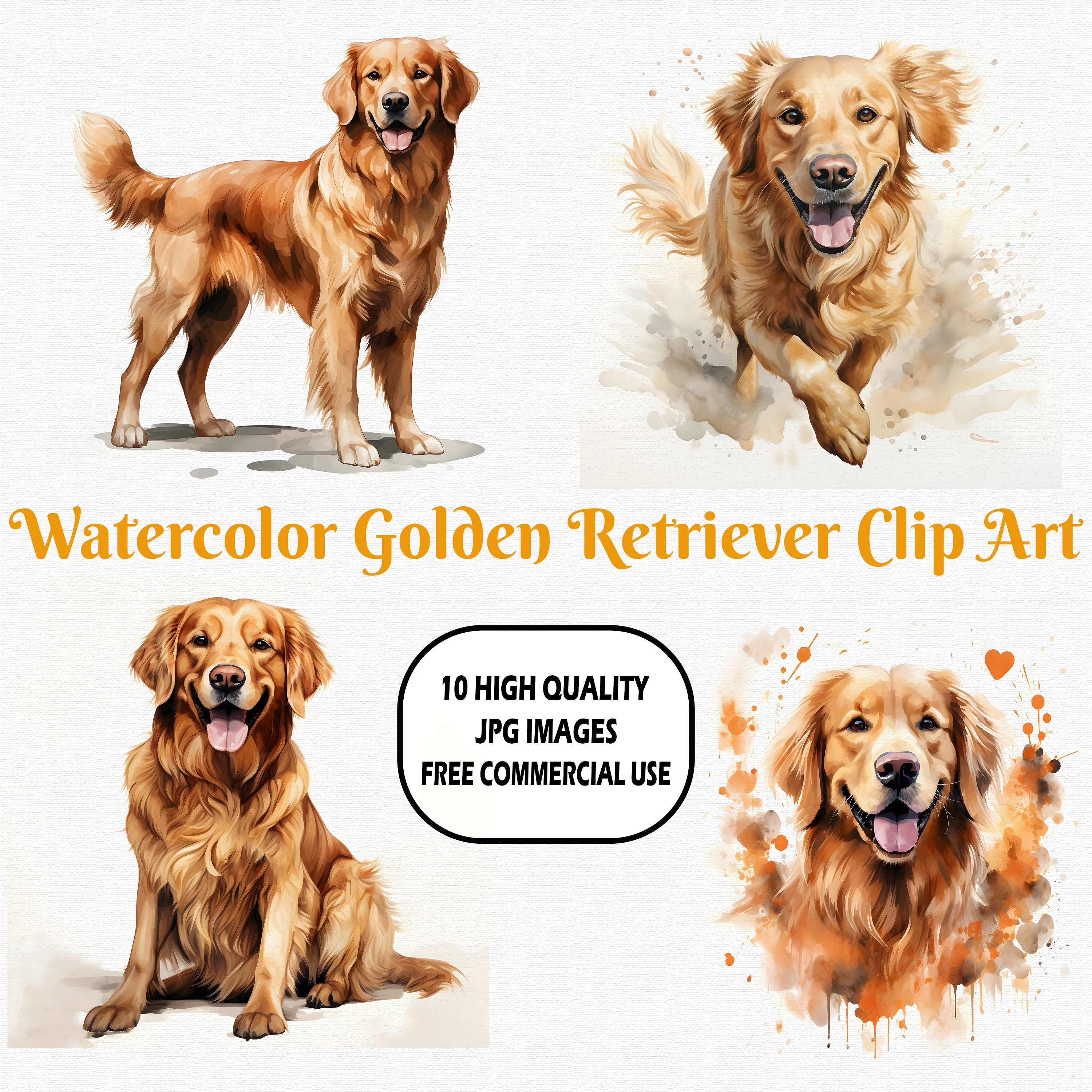 Watercolor Golden Retriever Clip Art, 10 High Quality (300 DPI) JPG ...