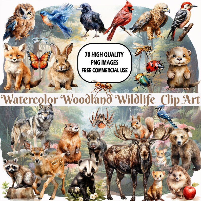 Watercolor Woodland Wildlife Clip Art, 70 High Quality (300 DPI) PNG ...