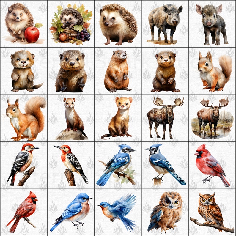 Watercolor Woodland Wildlife Clip Art, 70 High Quality (300 DPI) PNG ...