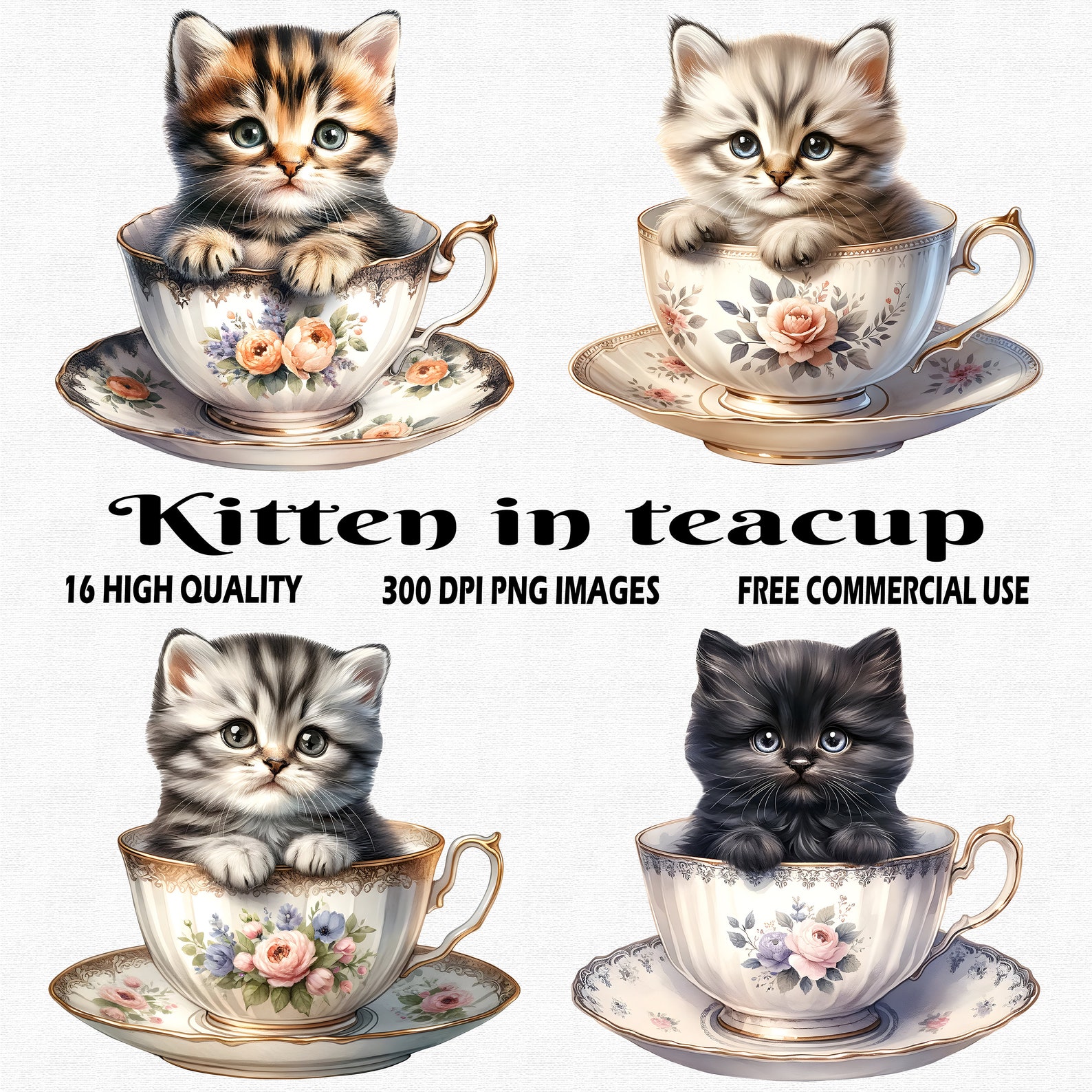 Kitten in Teacup Clipart, 16 (300 DPI) PNG Images, Cat in Teacup ...