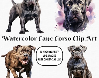 Watercolor Border Collie Clip Art, 10 High Quality (300 DPI) JPG Images ...