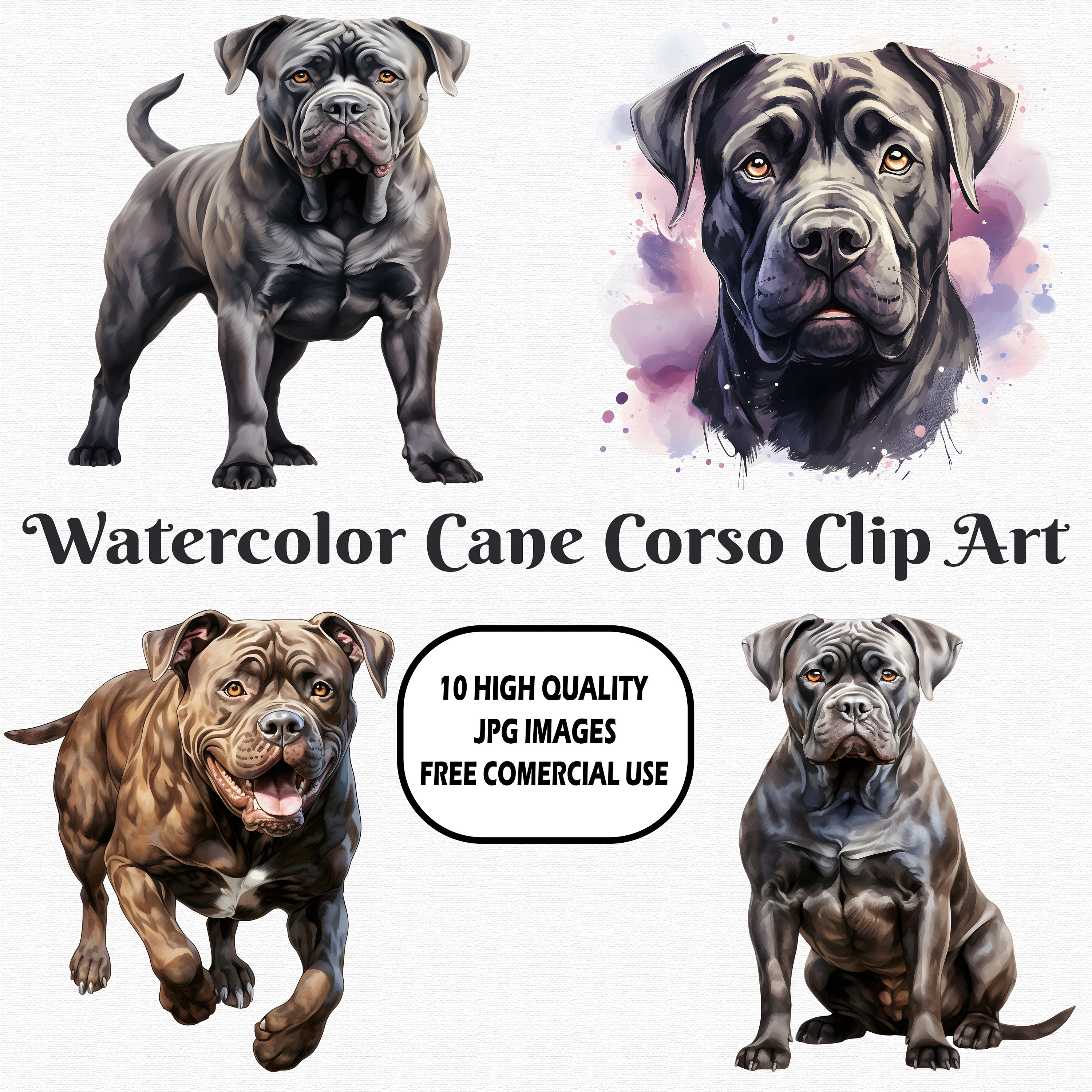 Watercolor Cane Corso Clip Art, 10 High Quality 300 DPI JPG Images With ...