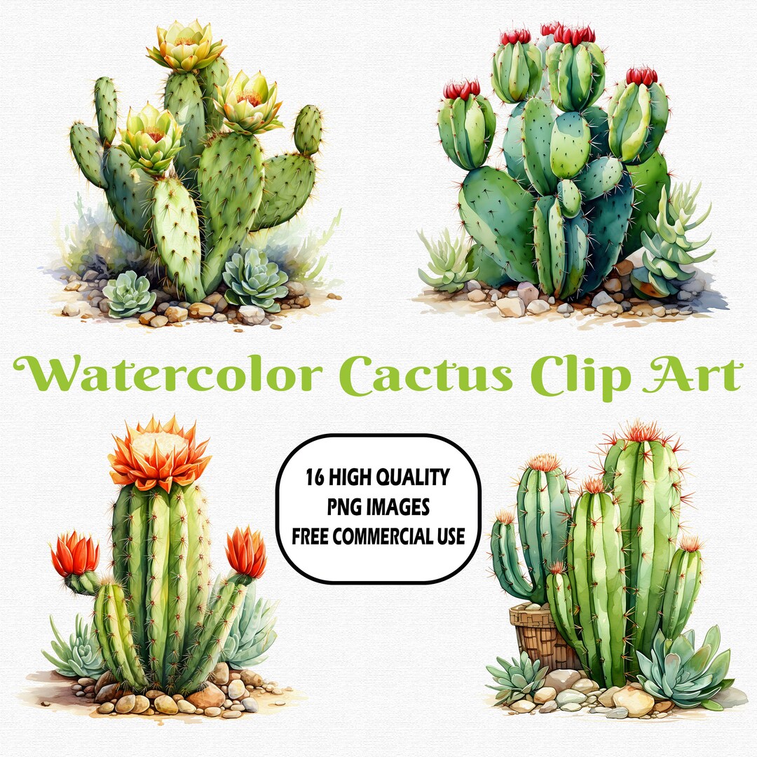 Watercolor Cactus Clip Art, 16 High Quality (300 DPI) JPG Images With ...