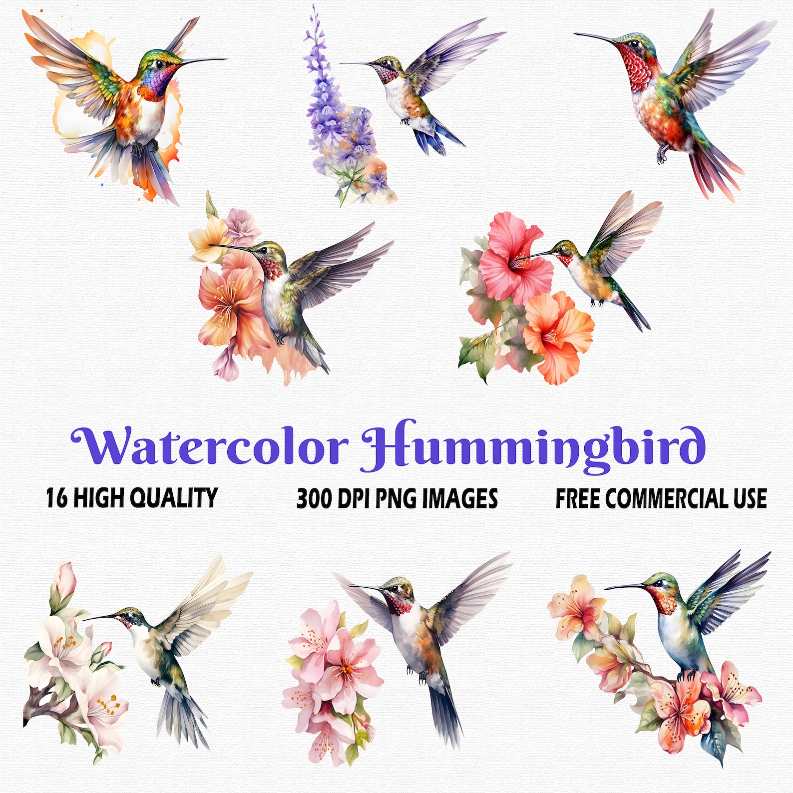 Watercolor Hummingbird Clip Art, 16 High Quality (300 DPI) PNG Images ...