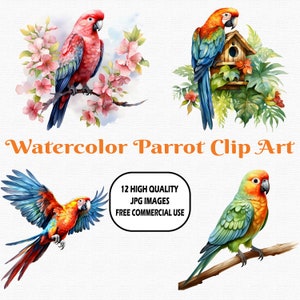 Watercolor Parrot Clip Art, 12 High Quality (300 DPI) JPG Images With ...