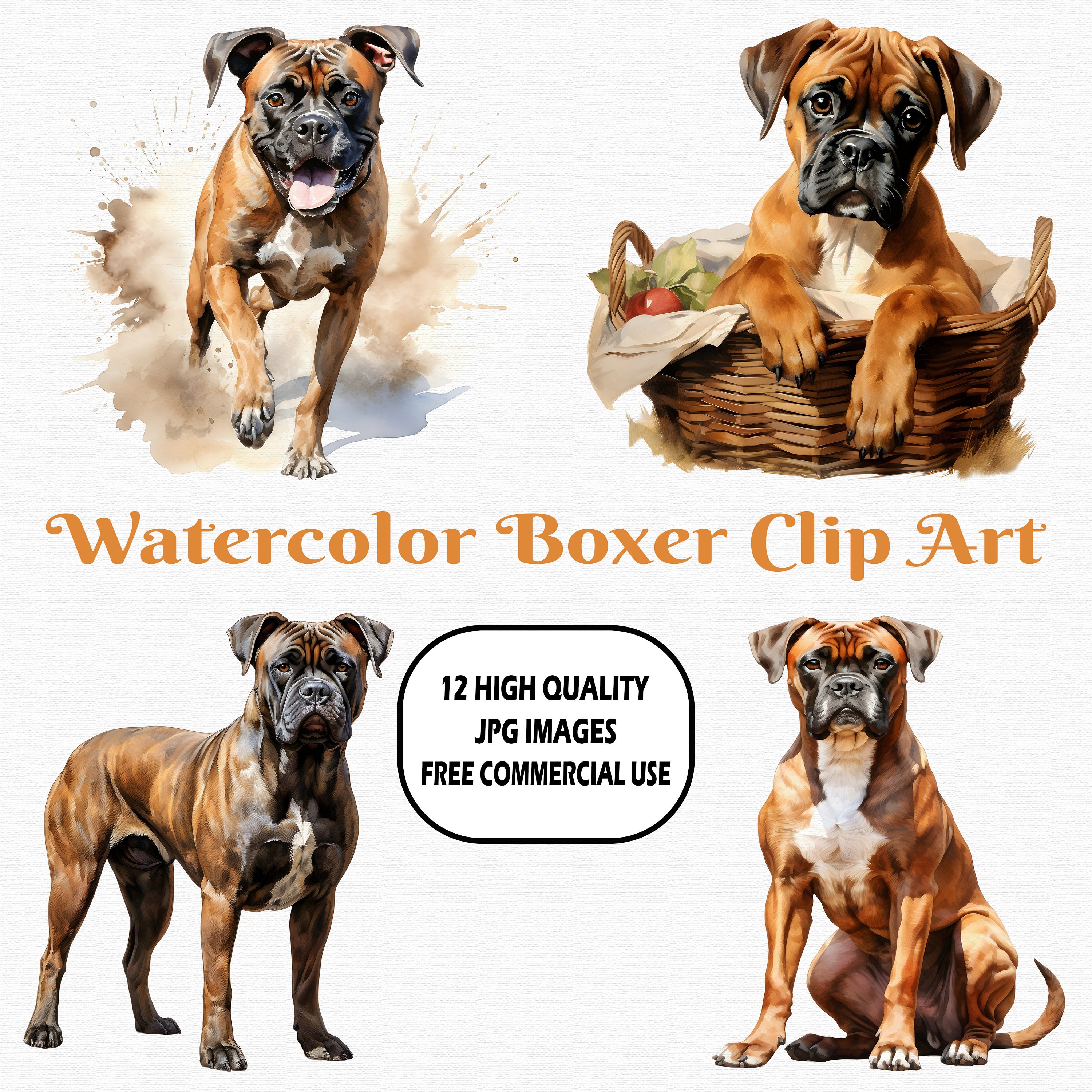 Watercolor Boxer Dog Clip Art, 12 High Quality (300 DPI) JPG Images ...