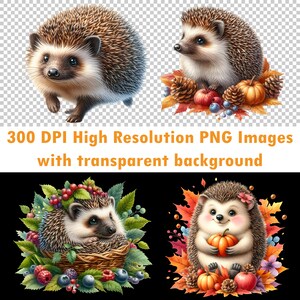 Watercolor Hedgehog Clipart, 20 (300 DPI) Png Images, Nursery Hedgehog ...
