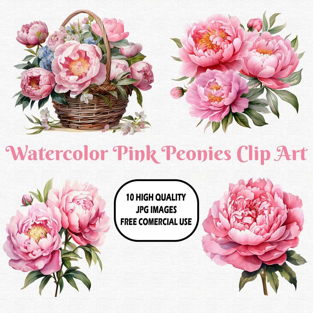 Watercolor Pink Peonies Clip Art, 10 High Quality (300 DPI) JPG Images ...