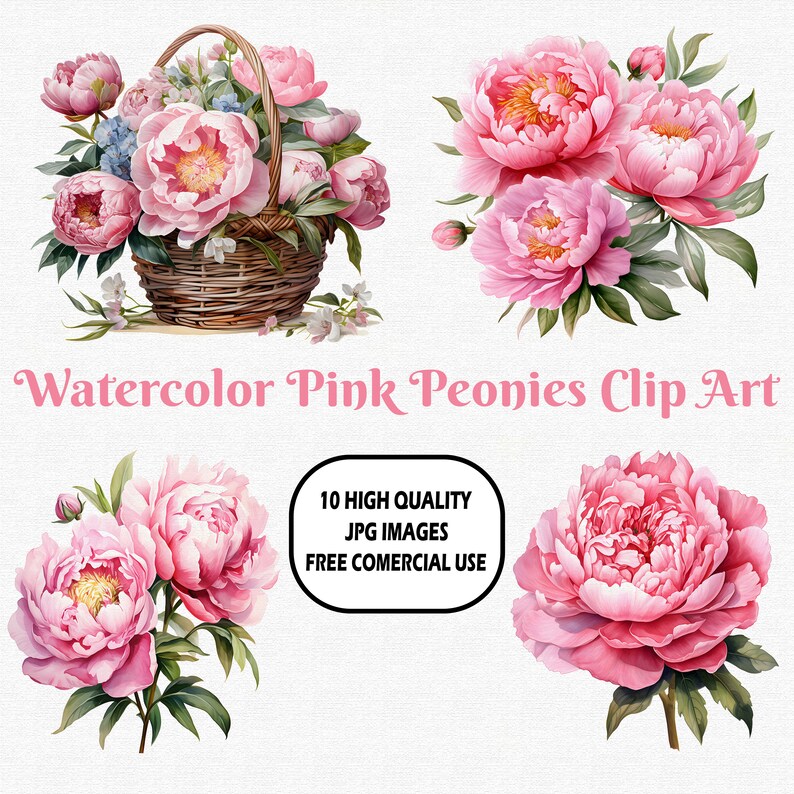Watercolor Pink Peonies Clip Art, 10 High Quality (300 DPI) JPG Images ...