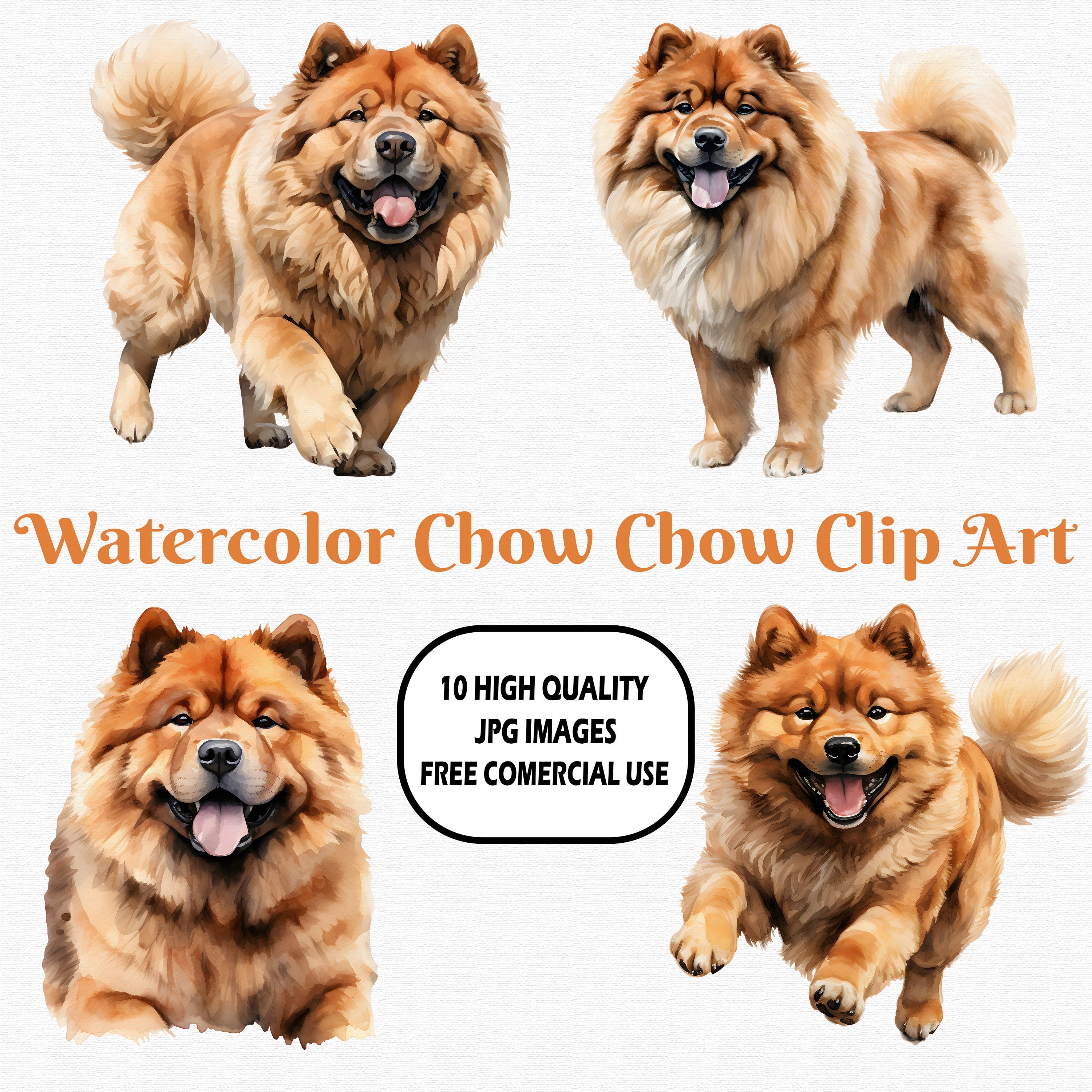 Watercolor Chow Chow Clip Art, 10 High Quality 300 DPI JPG Images With ...