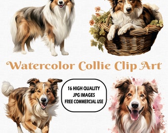 Watercolor Woodland Wildlife Clip Art, 70 High Quality 300 DPI PNG ...