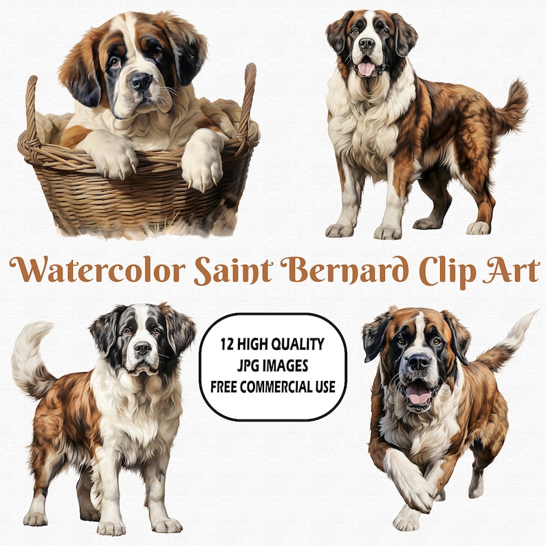 Watercolor Saint Bernard Clip Art, 12 High Quality (300 DPI) JPG Images ...