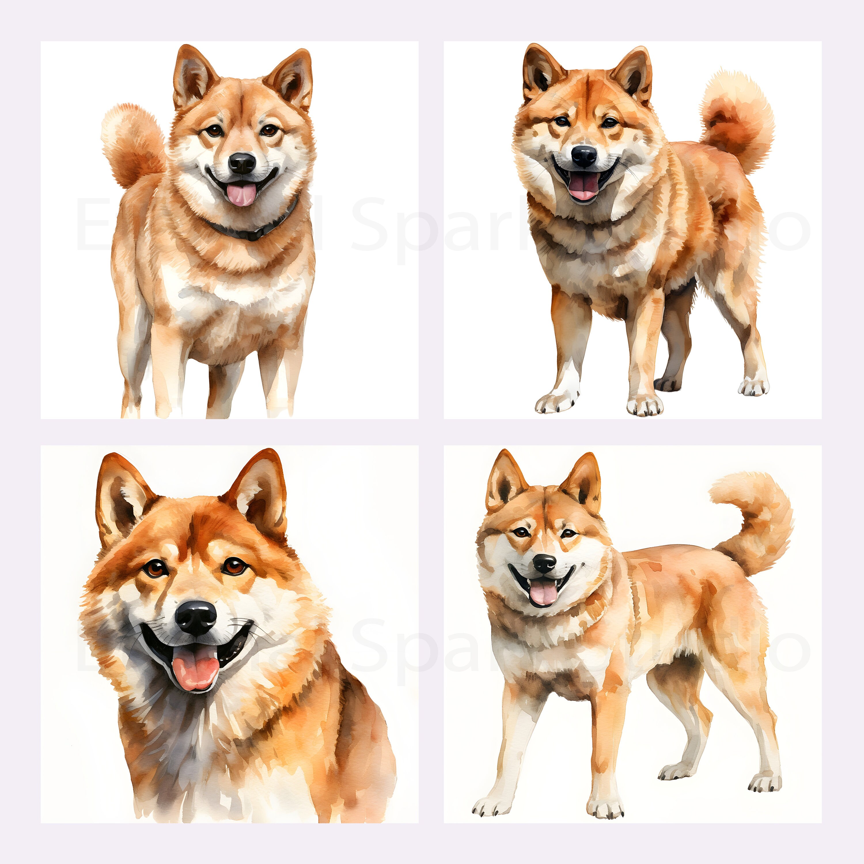 Watercolor Shiba Inu Clip Art, 10 High Quality 300 DPI JPG Images With ...