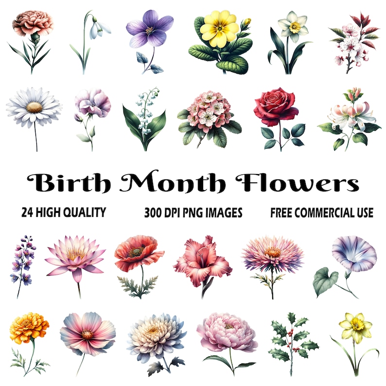 Birth Month Flowers, 24 High Quality (300 DPI) PNG Transparent Images ...