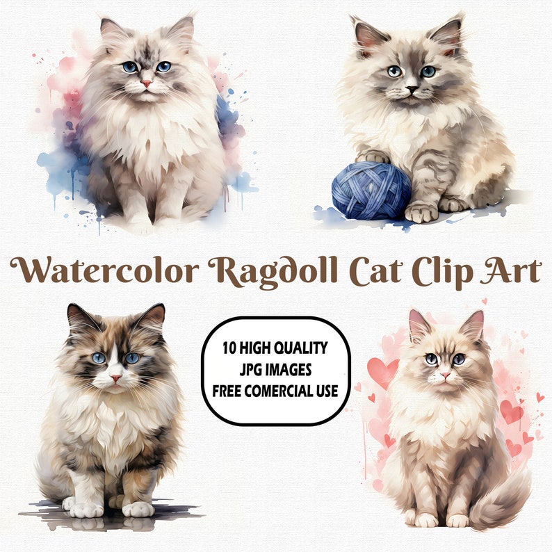 Watercolor Ragdoll Cat Clip Art, 10 High Quality (300 DPI) JPG Images ...