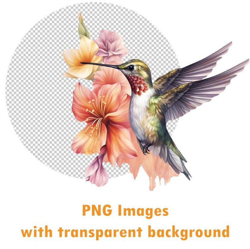 Watercolor Hummingbird Clip Art, 16 High Quality (300 DPI) PNG Images ...