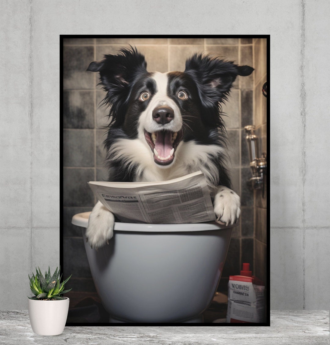 Border Collie Sitting on the Toilet Reading a Newspaper,funny Bathroom ...