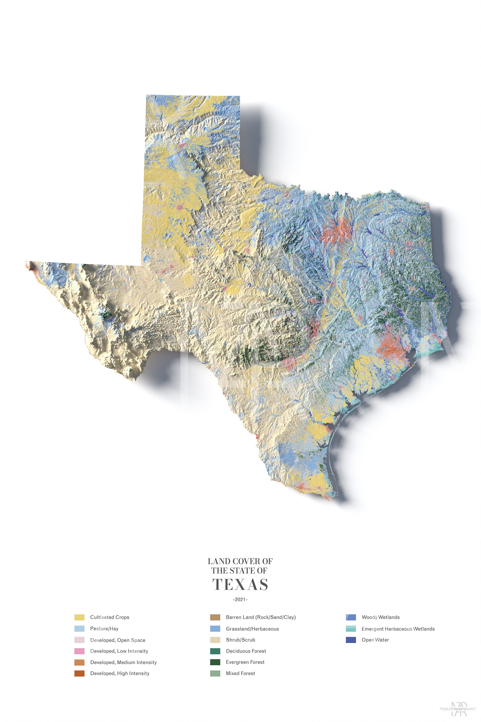 Texas Modern Infographic Landcover Topographic Map - Etsy