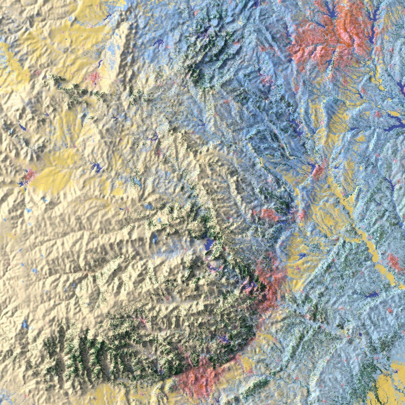 Texas Modern Infographic Landcover Topographic Map - Etsy