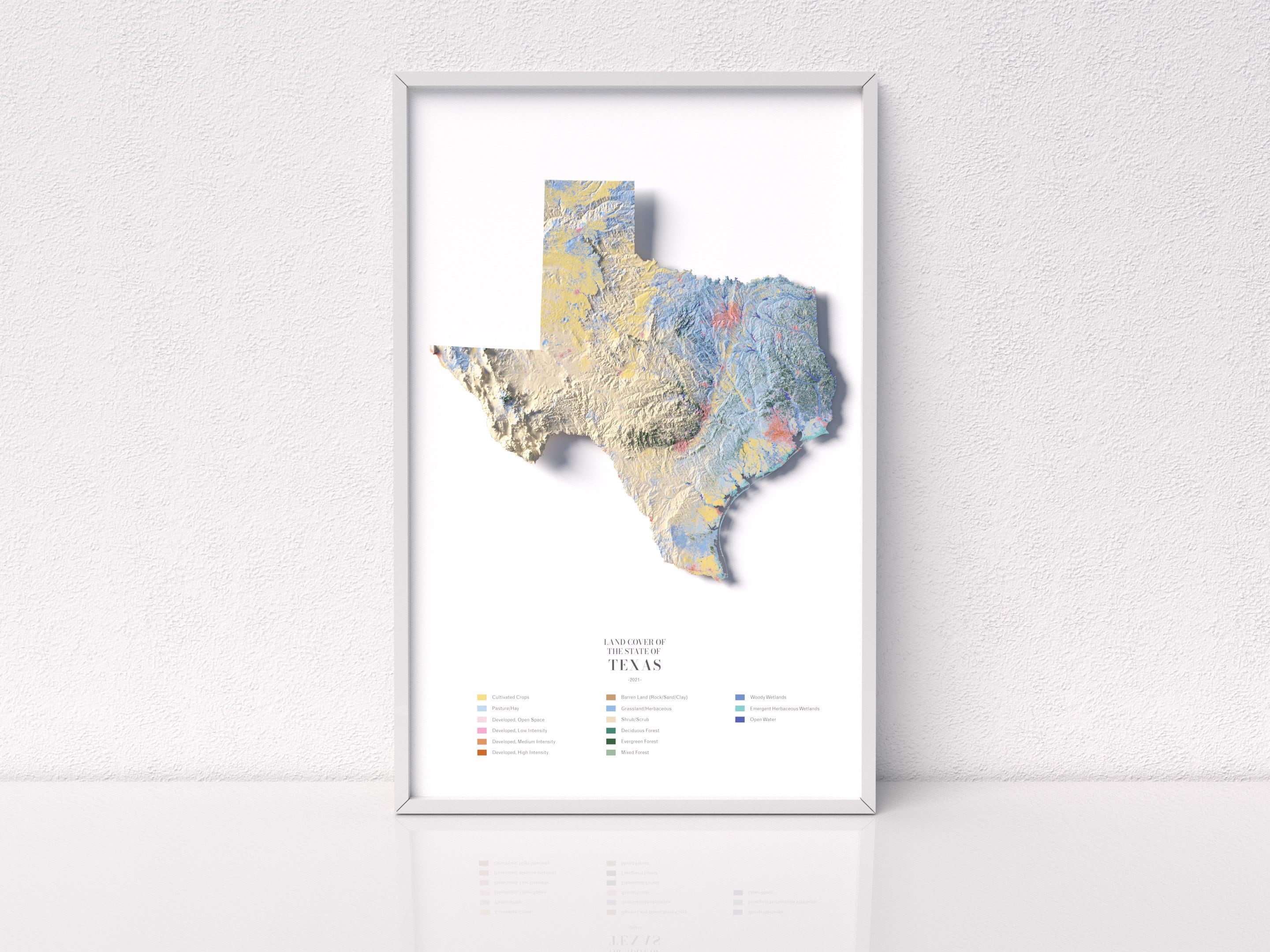 Texas Modern Infographic Landcover Topographic Map - Etsy