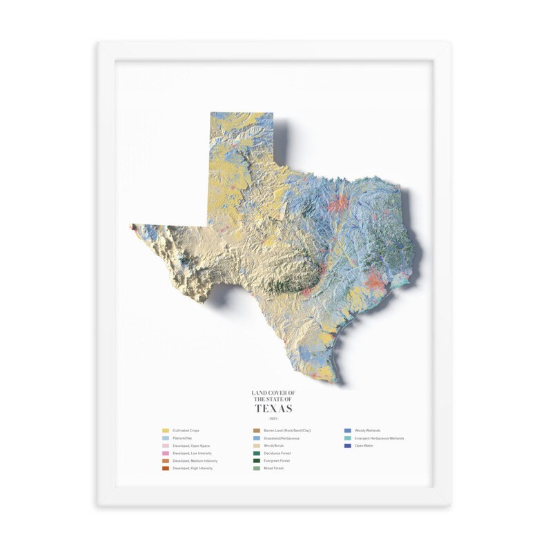 Texas Modern Infographic Landcover Topographic Map - Etsy