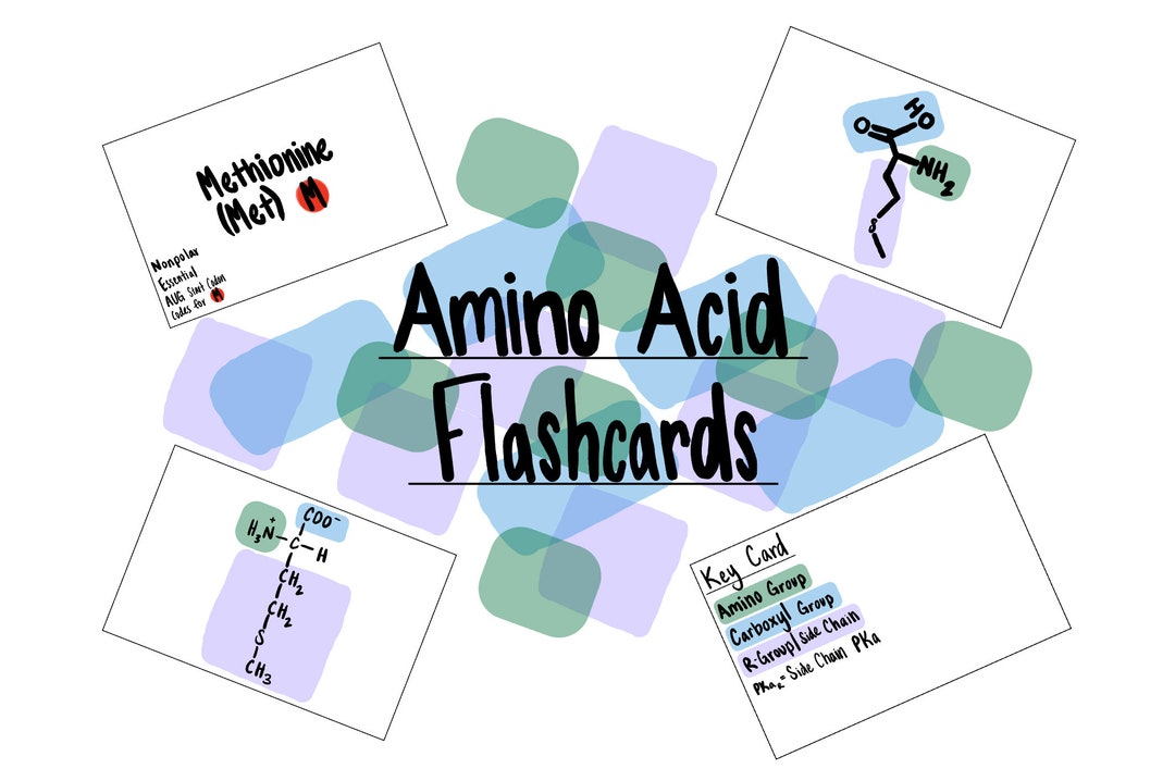 Amino Acid Flashcards Digital File - Etsy