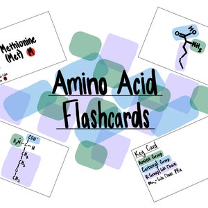 Amino Acid Flashcards Digital File - Etsy