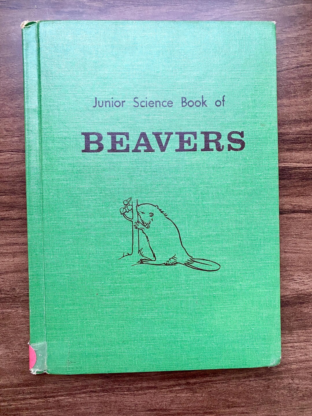 Vintage 1960 Jr. Science Book of Beavers Hardcover Library Book - Etsy