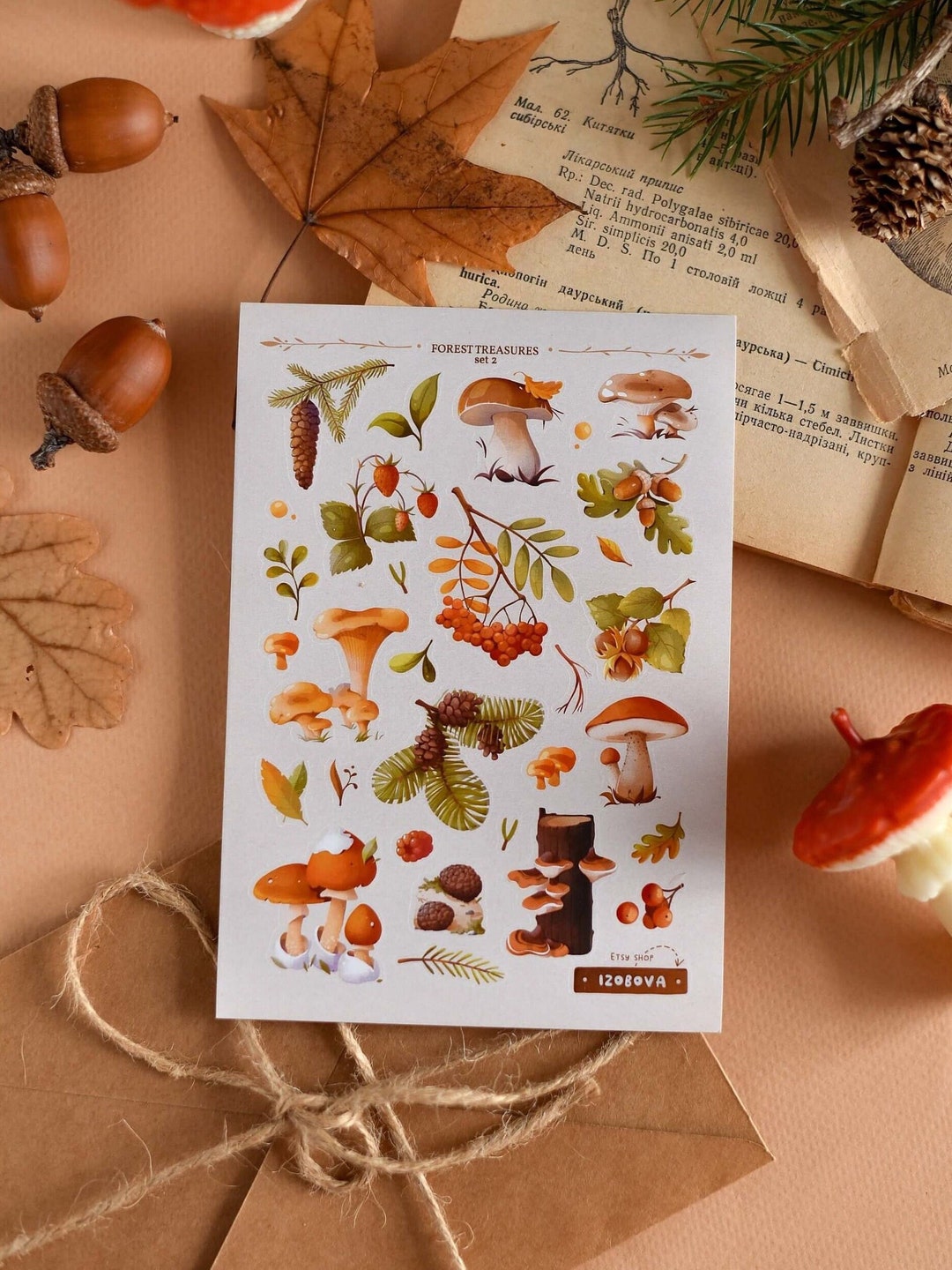 Forest Sticker Sheet Treasures Stickers Fall Nature Chanterelle ...