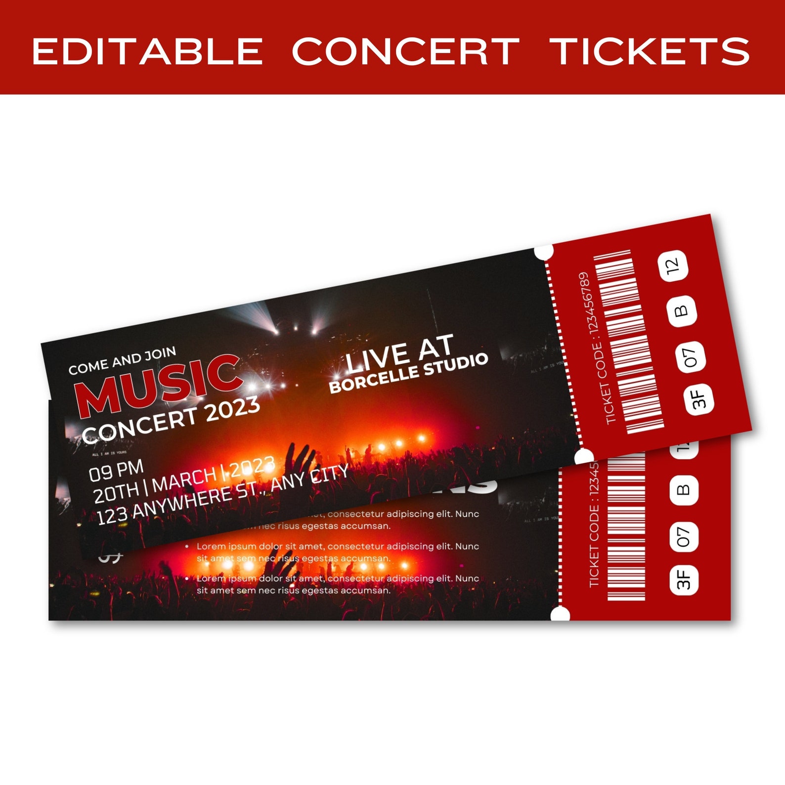 Editable Concert Ticket Template, Custom Concert Ticket Gift, DIY Event Ticket, Surprise ...
