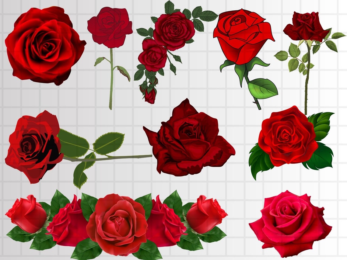 Red Rose SVG Rose SVG Bundle Red Rose Clipart Roses Template Svg Vector ...