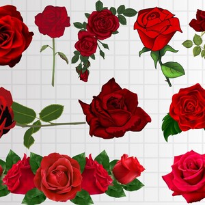 Red Rose SVG Rose SVG Bundle Red Rose Clipart Roses Template Svg Vector ...
