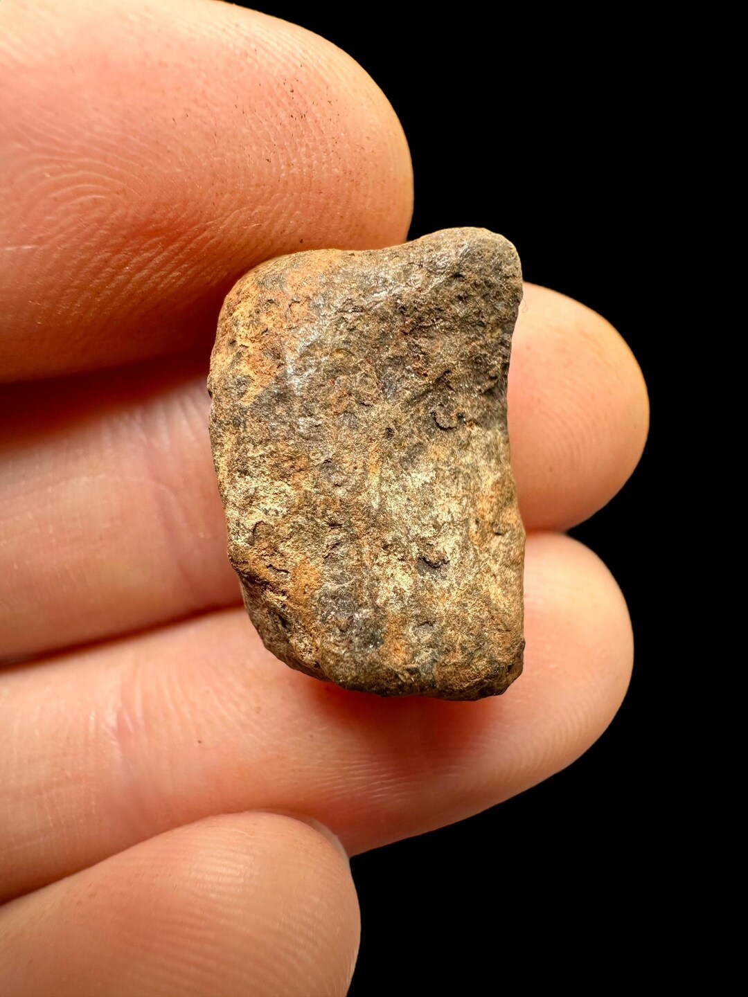 Meteorite Mundrabilla – Nullarbor Plain, Australia - Etsy