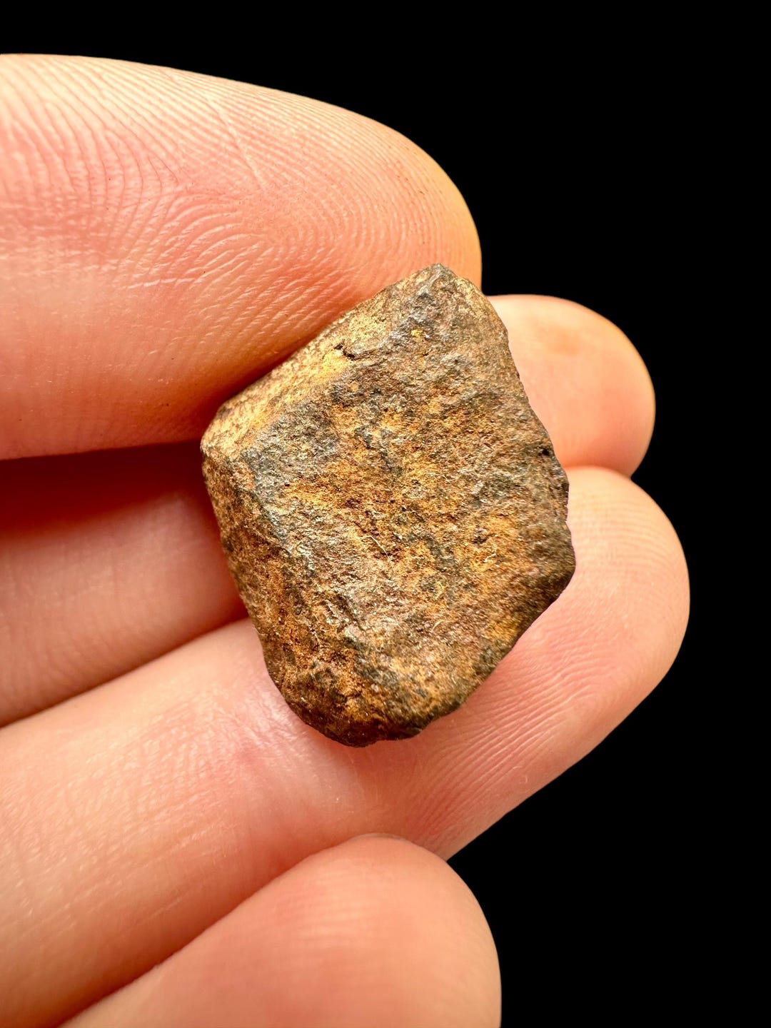 Meteorite Mundrabilla – Nullarbor Plain, Australia - Etsy