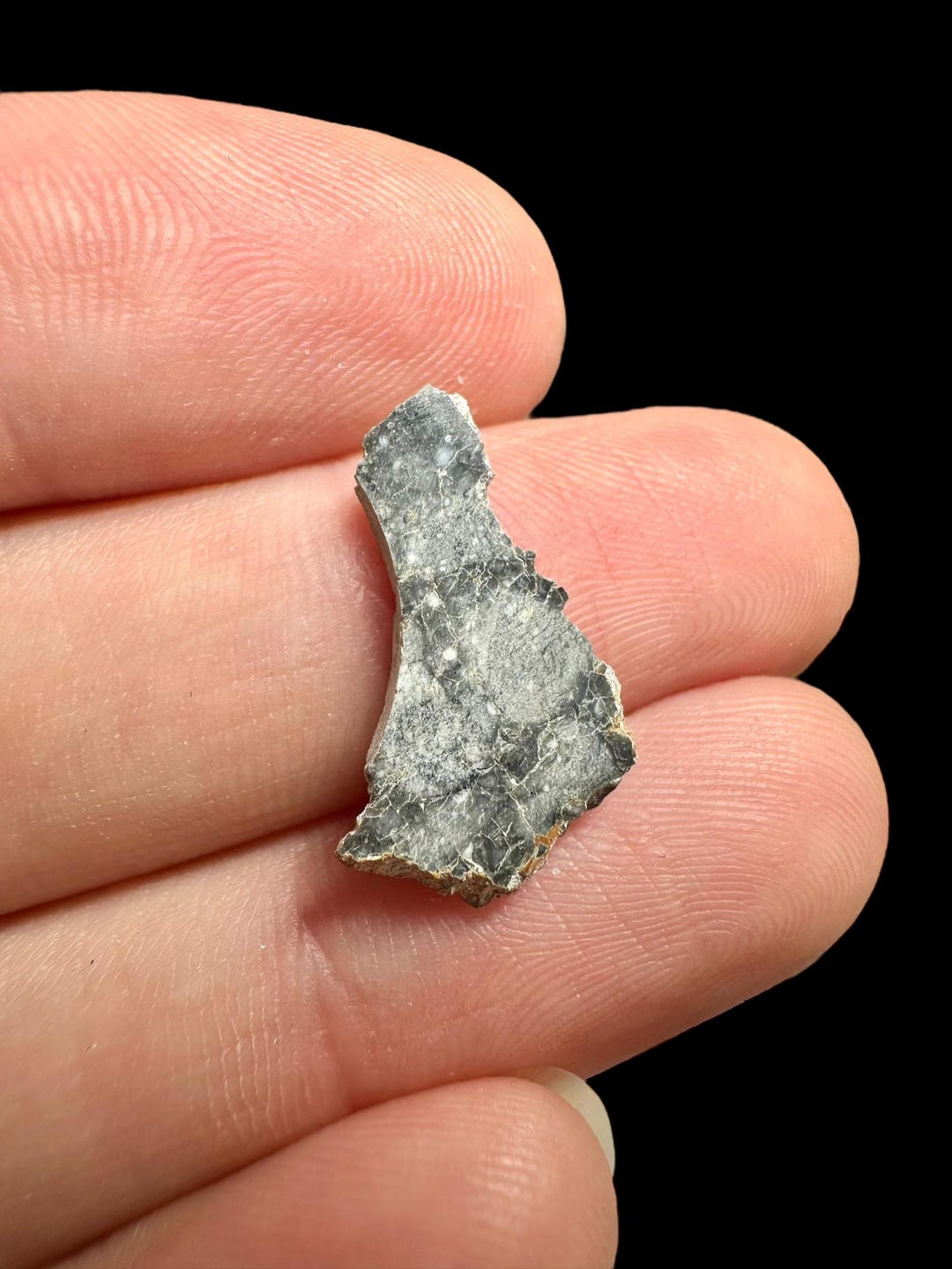 Lunar Meteorite Gadamis 004 – 0,5g – Libya - Etsy