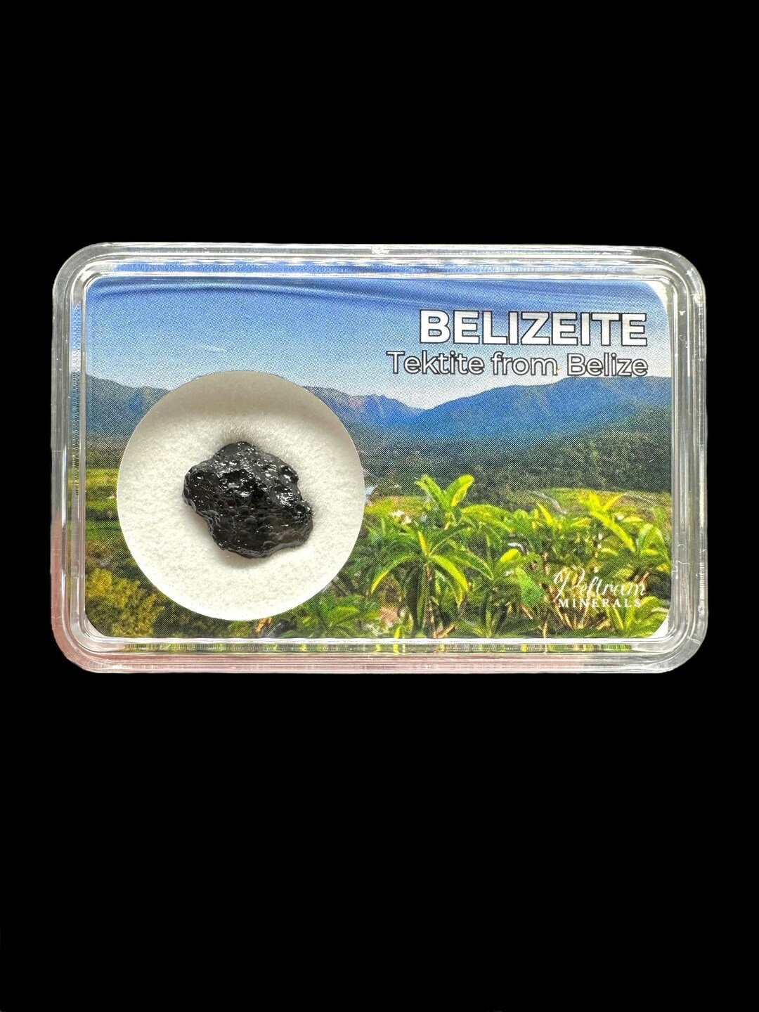 Belizeite in Box – Belize - Etsy