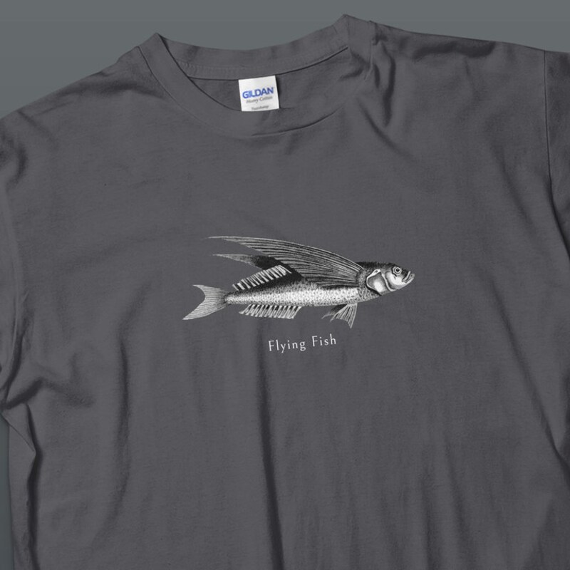 Flying Fish Print - Etsy