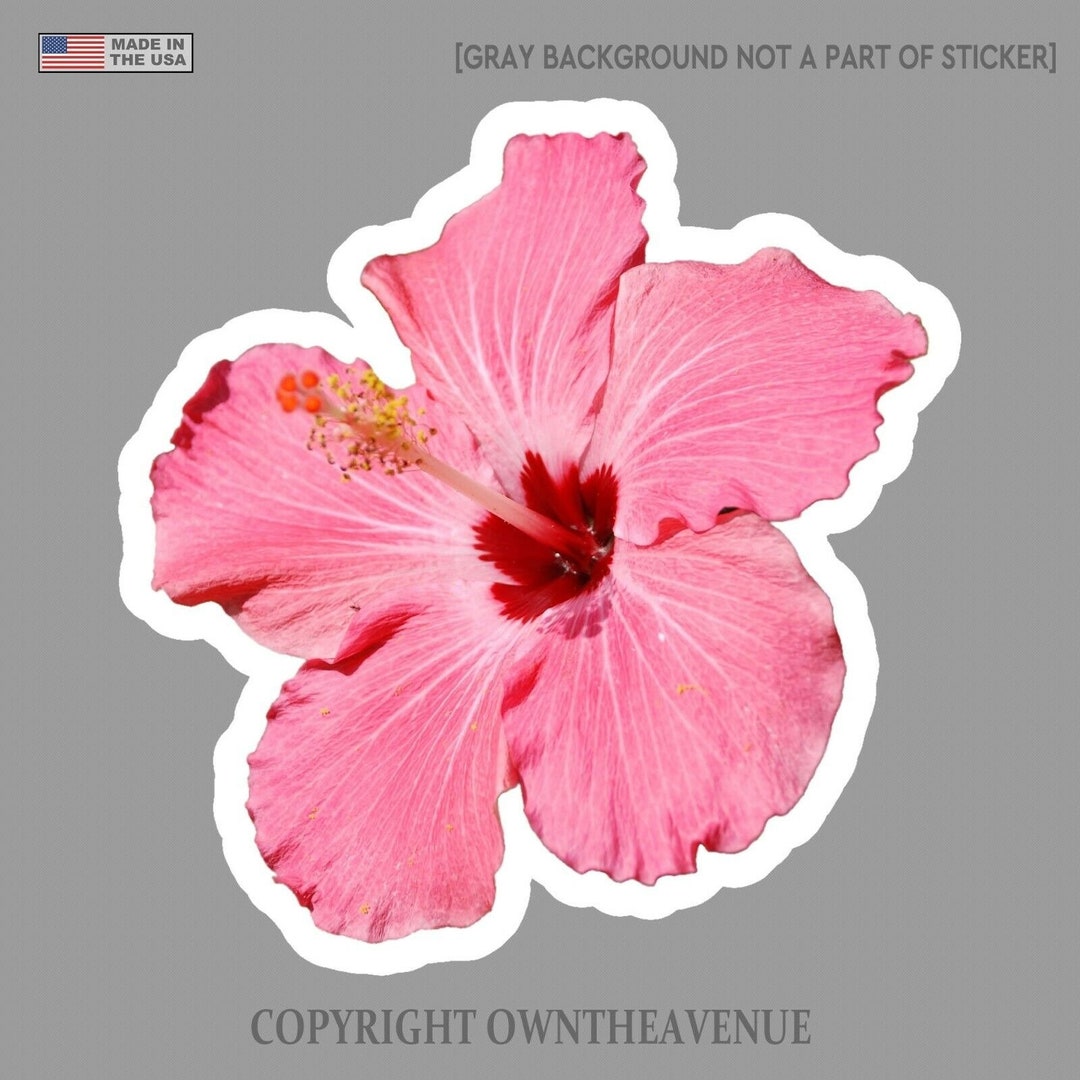 Hawaiian Hibiscus Flower Sticker for Car Window Truck Laptop Vinyl ...