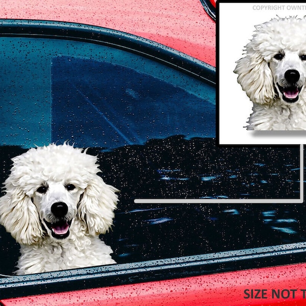Poodle Window Decal - Etsy