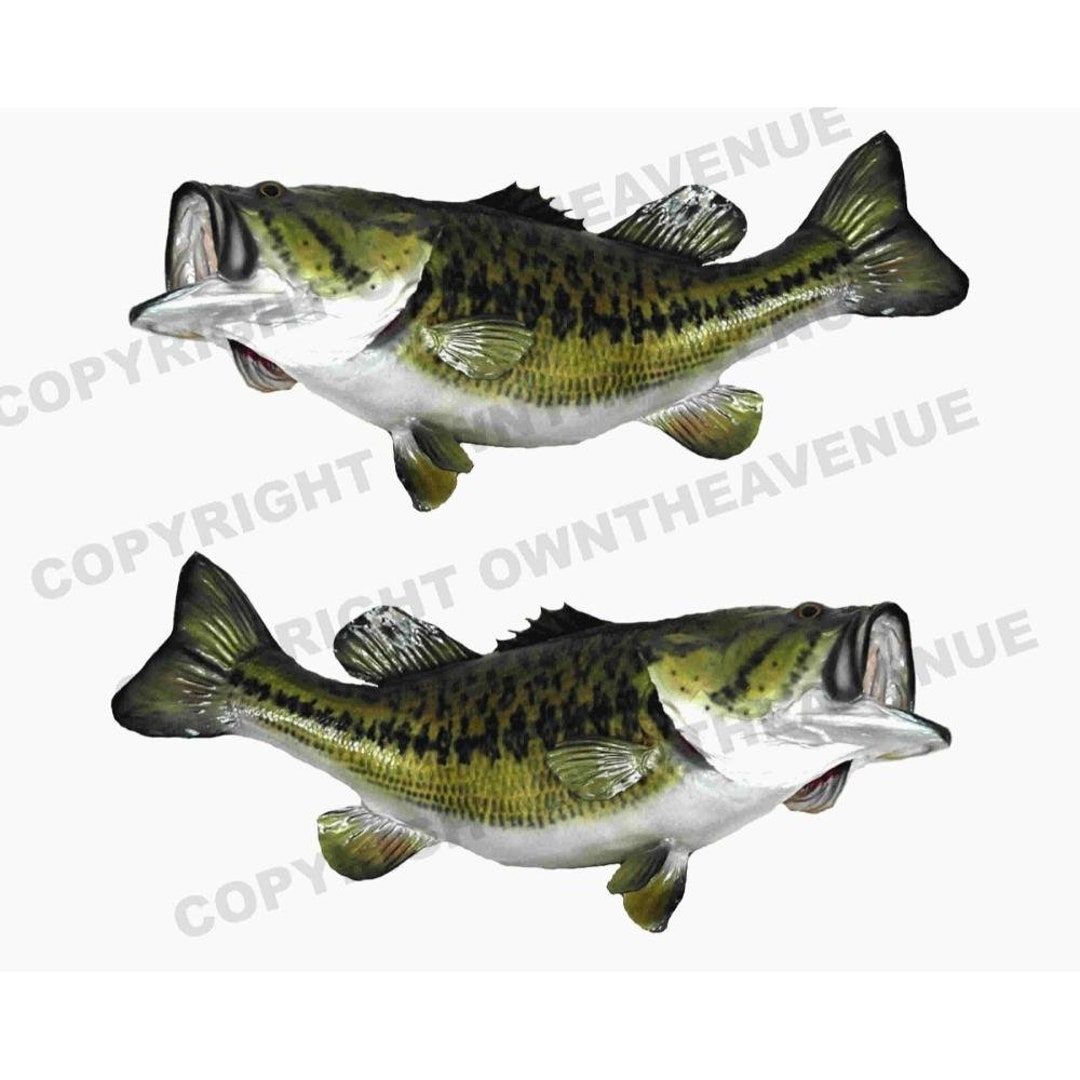 Largemouth Bass Sticker Decal Fishing Boat Car Truck Camper Trailer 2 ...