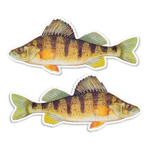 Perch Stickers - Etsy