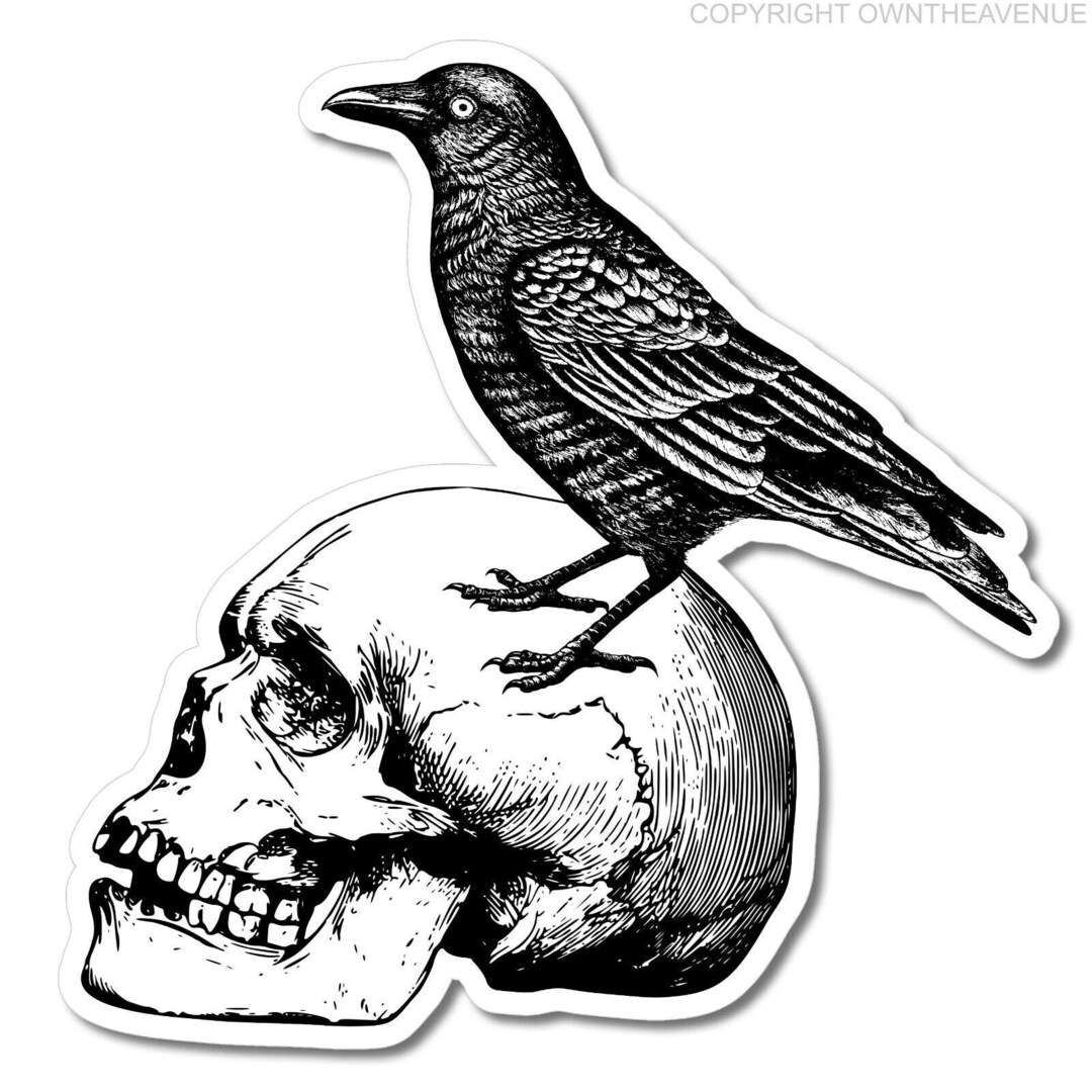 Raven Crow Skull Jdm Car Truck Window Laptop Cup Vinyl Sticker Etsy Uk
