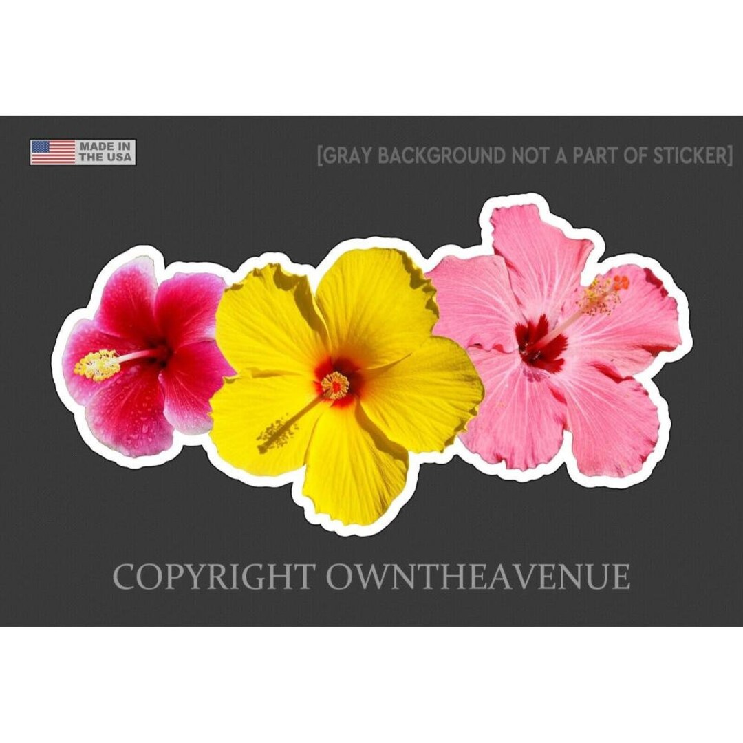 Hawaiian Hibiscus Flowers Bookey Sticker for Car Window Truck Vinyl ...